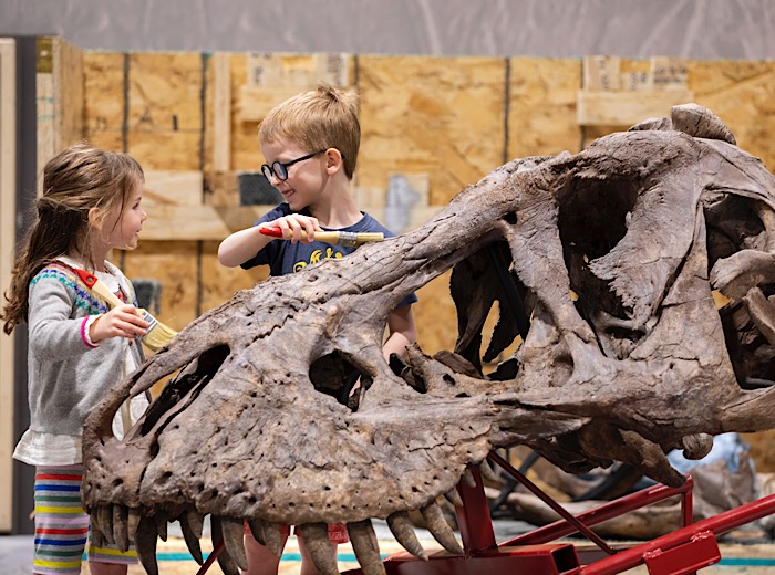 Introducing Trix the T. Rex … Kelvin Hall's dinosaur attraction starts ...