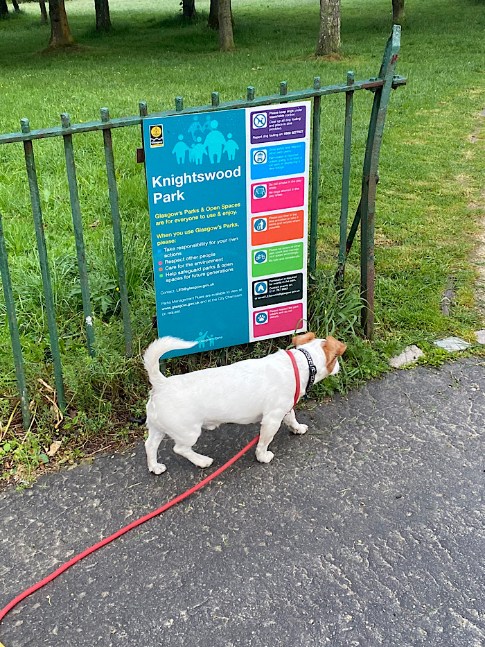Park Life: 'Knightswood Park is charming … we really do inhabit a dear ...